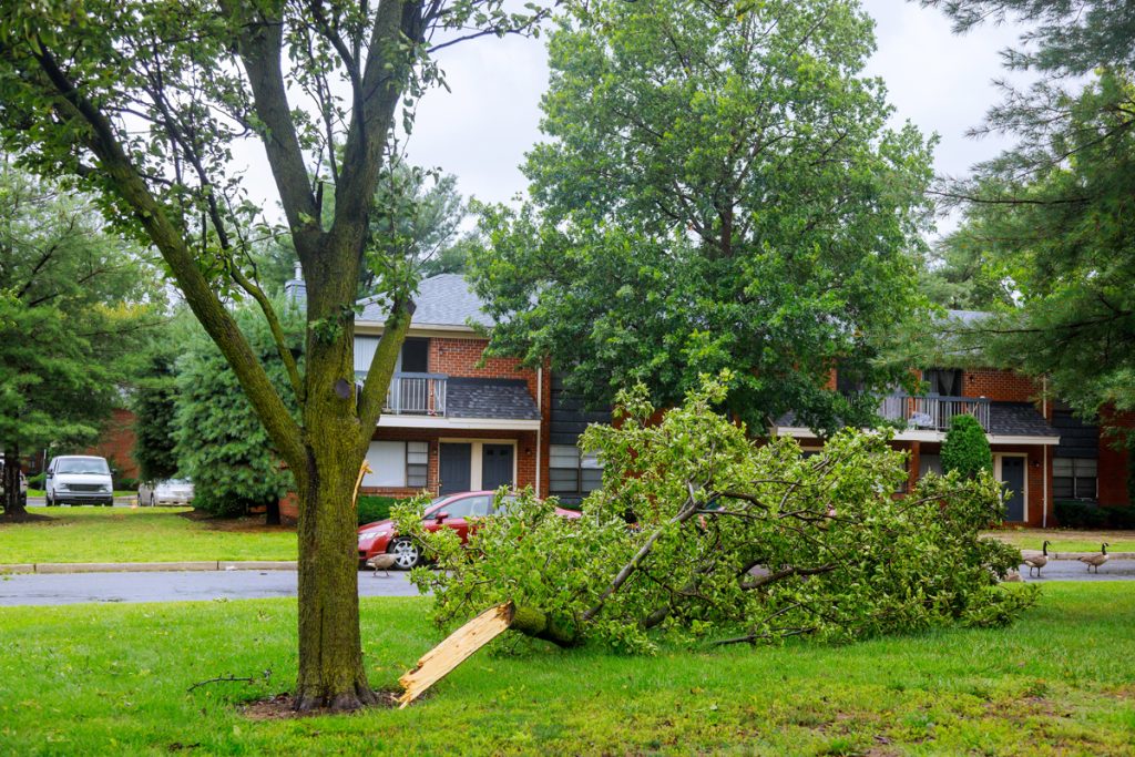 Does Renters Insurance Cover Storm Damage? | Eagle Ridge Apartments